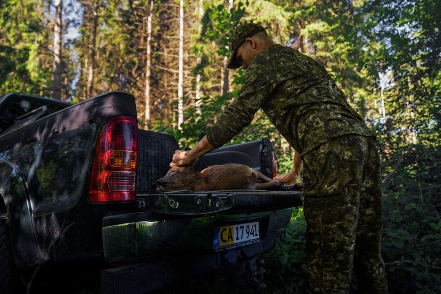 Seeland Active Camo L/S T-Shirt Invis Green | Widforss