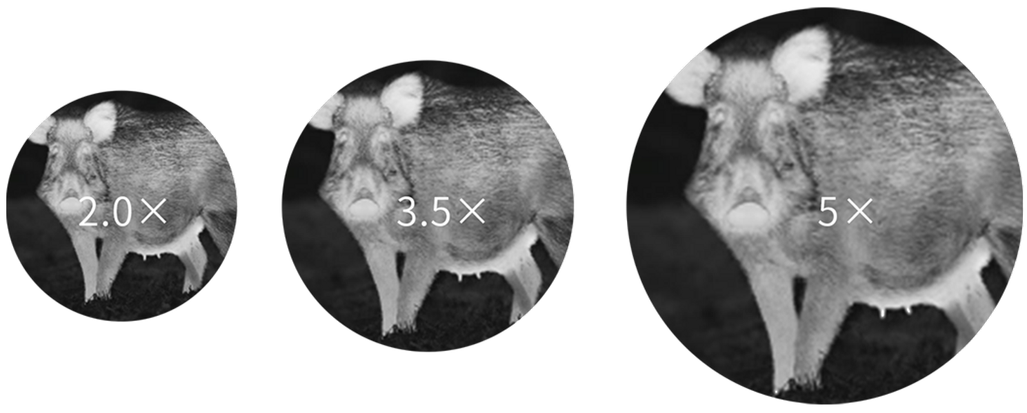 Infiray Eye E3 Plus | Widforss