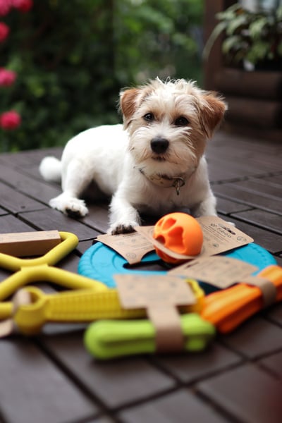 Kjøp Lekeben Aktivisering 19cm Orange - www.widforss.no