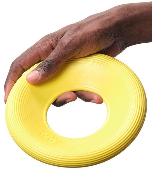 Earth Rated Flyer Toy Small | Widforss