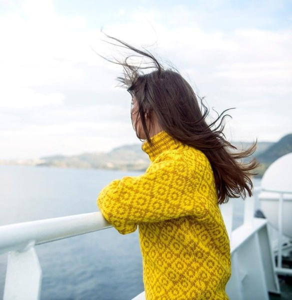 Devold Svalbard Sweater High Neck Cyber/Arrowwood | Widforss