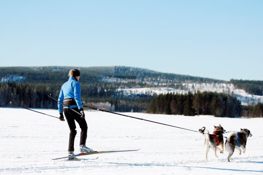 Baggen Draglina Extreme | Widforss/Retkitukku