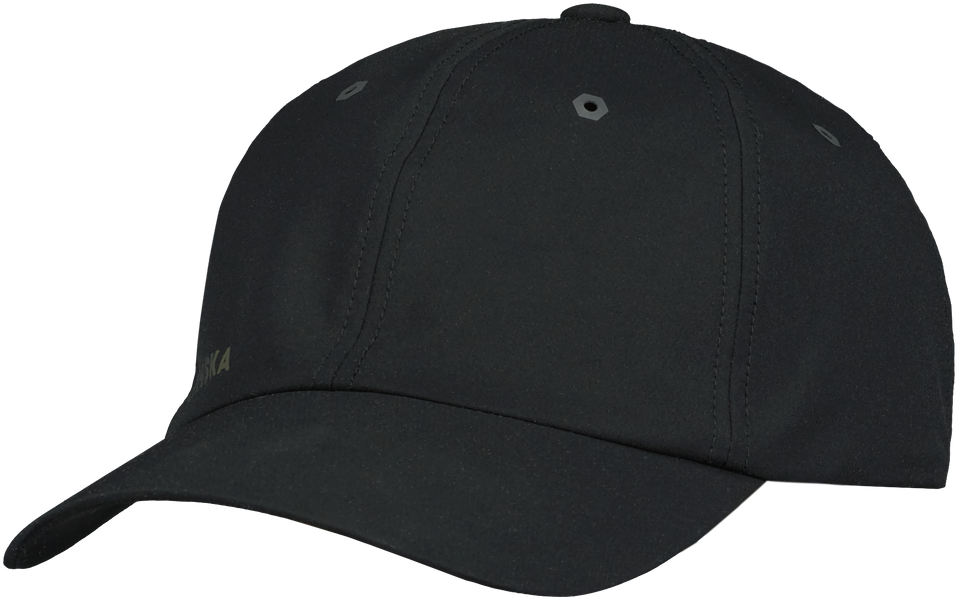Alaska 1795 Chaser Stretch Cap Black | Widforss