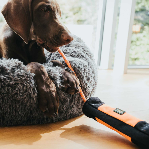 HUNTER HUNTER Loppa Hundeseng Antracite | Widforss