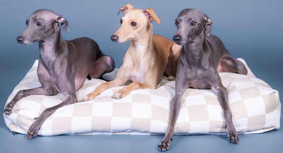 Kjøp Check Mattress Beige 125 x 80 cm - www.widforss.no