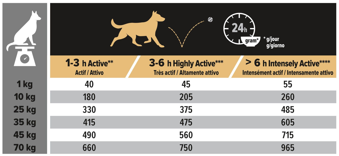 Purina PRO PLAN All Sizes Adult PERFORMANCE 14 kg | Widforss