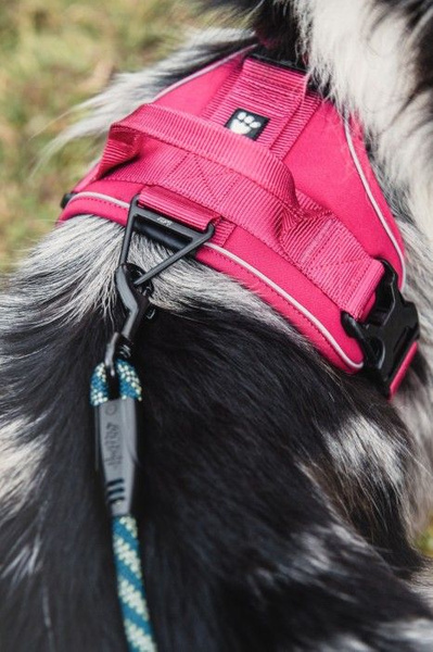 Hurtta Active Sele 40-45 cm Pinjeträd | Widforss