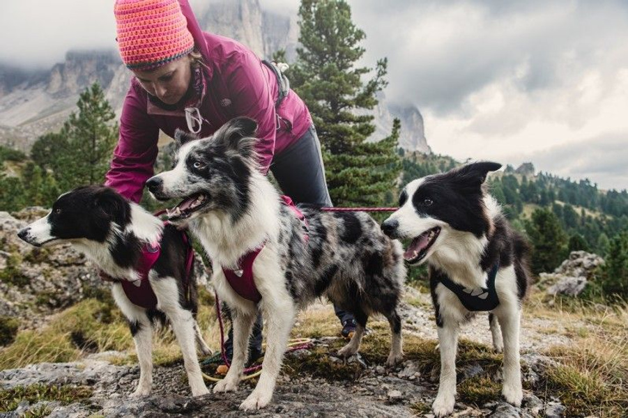 Hurtta Active Sele 45-60 cm Cherry | Widforss