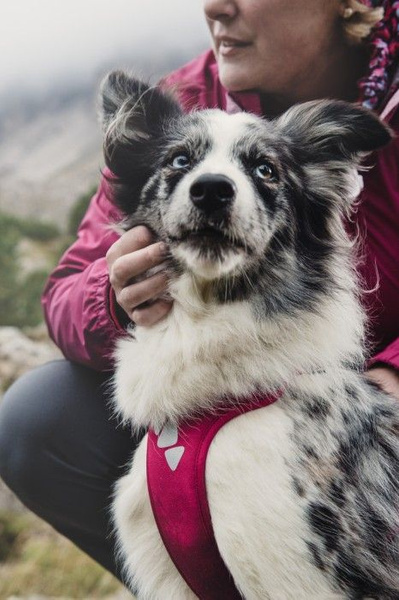 Hurtta Active Sele 45-60 cm Raven | Widforss