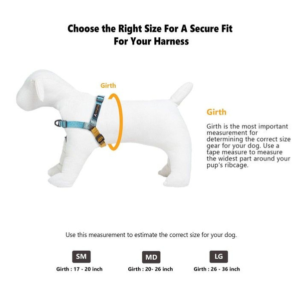OllyDog Essential Harness Sky Bark | Widforss