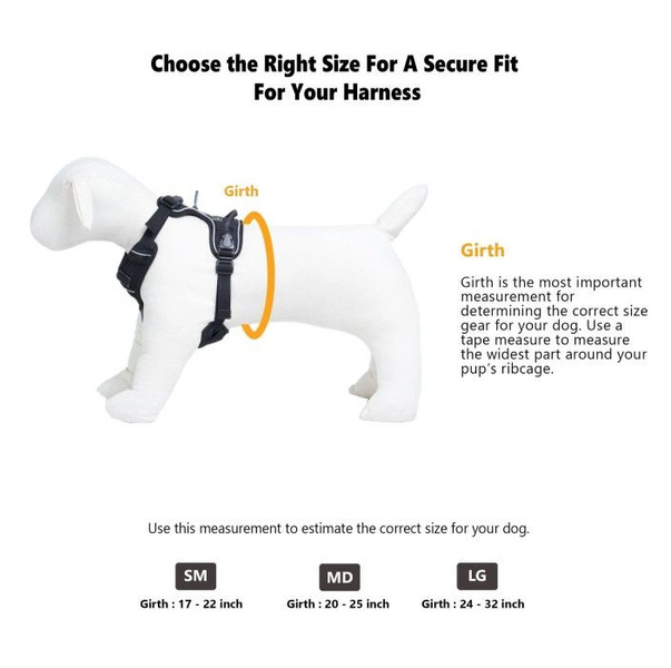 OllyDog Alpine Reflective Harness Atlantic | Widforss