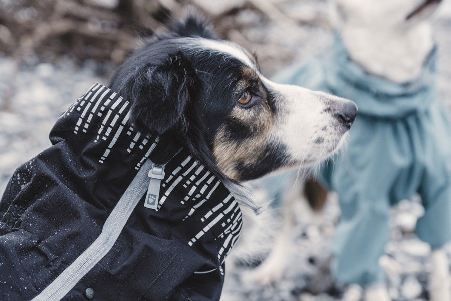 Hurtta Rain Blocker Raven Hunderegntøy 30cm | Widforss