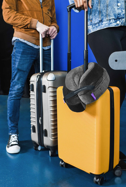 Cabeau Evolution Earth Water | Widforss