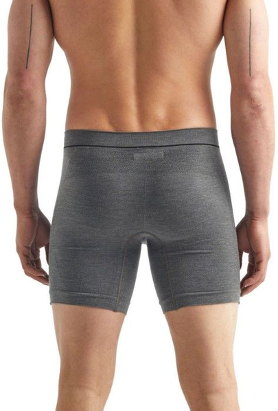 Icebreaker M's Anatomica Seamless Long Boxers Monsoon Hthr | Widforss ...