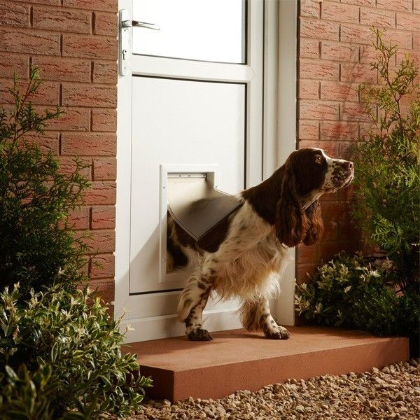 PetSafe Petsafe StayWell Dörrlucka Aluminium L | Widforss