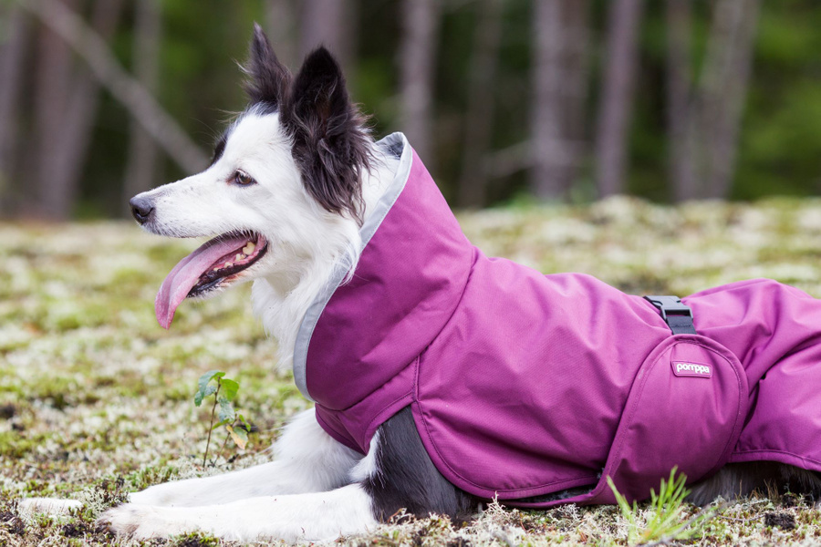 Osta Perus koirantakki, 25-28 cm, Plum - https://www.widforss.fi