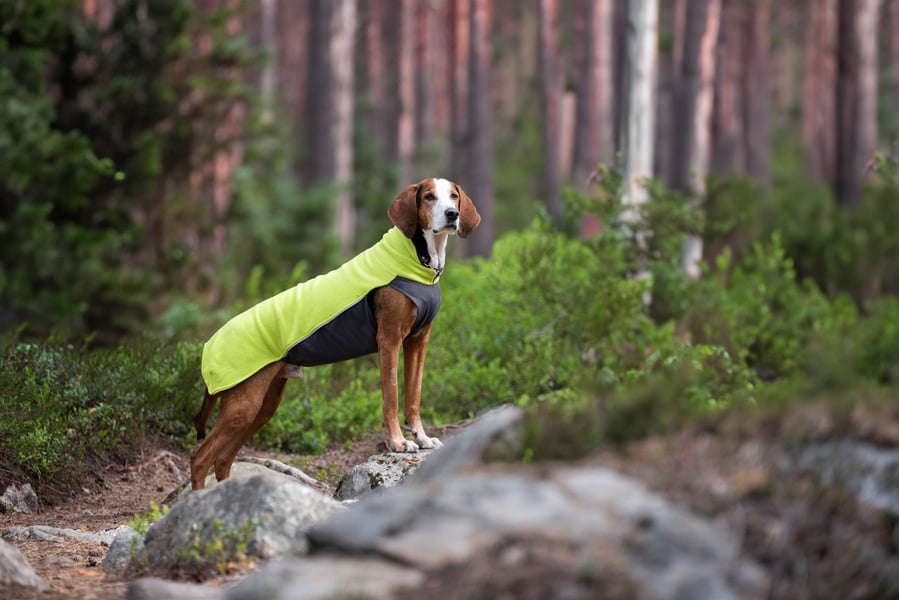 Pomppa Jumppa 25-28 cm Lime | Widforss