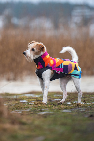 Köp Jumppa Femton 25-28 cm Special Edition - https://www.widforss.se