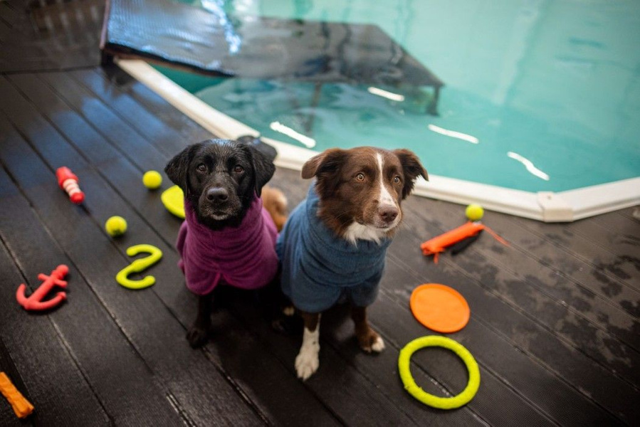 Pomppa Bath 60-65 cm Midnight | Widforss