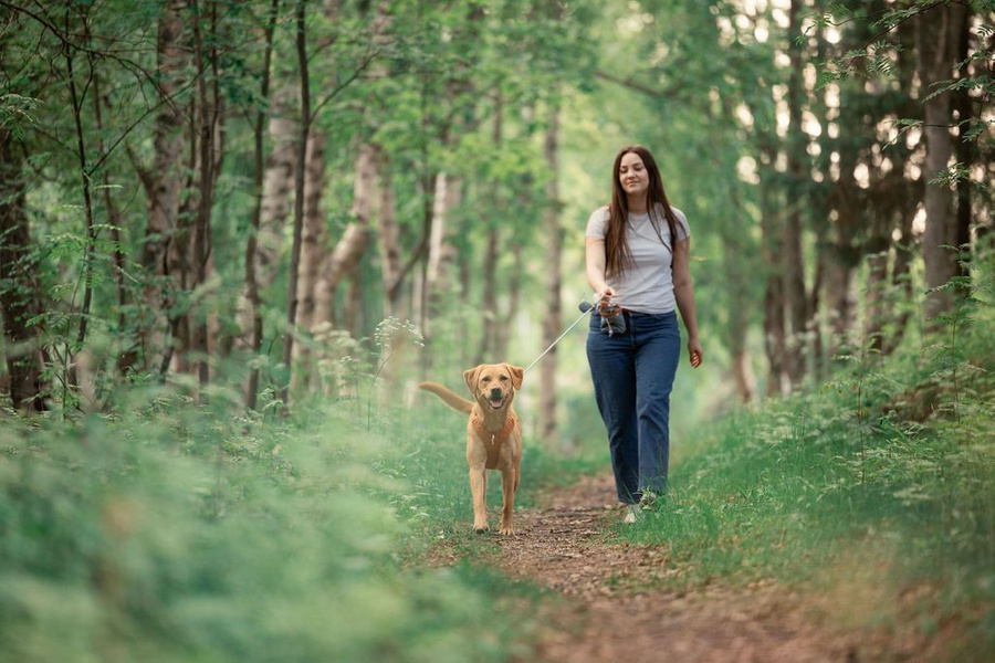 Kjøp Rope Leash Thin Pistachio 8 mm - www.widforss.no