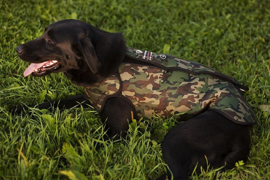 DogTech Dogtech Retriever Camo | Widforss