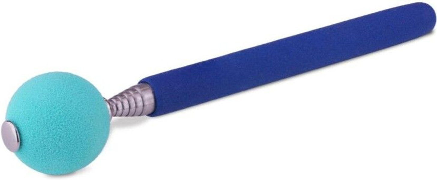 Coachi Target Stick | Widforss