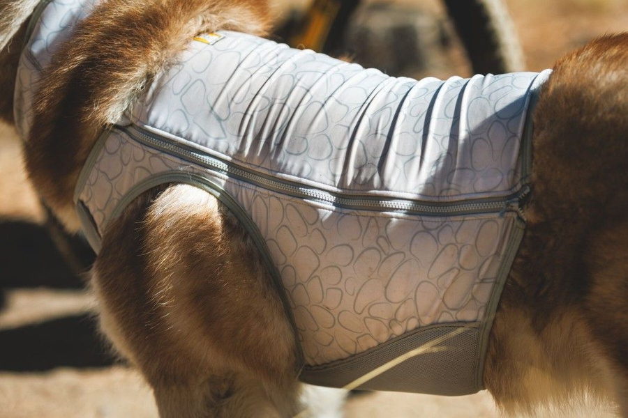 Osta Swamp Cooler Zip Graphite Gray - www.widforss.fi