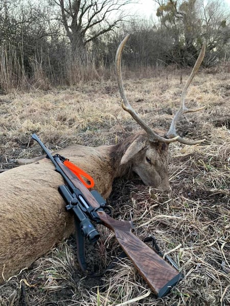 Sauenhammer SH2 Drivenhunt | Widforss