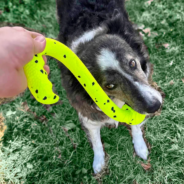 Kong Reflex Tug 'n Fetch 30,5x13,5x6 cm | Widforss